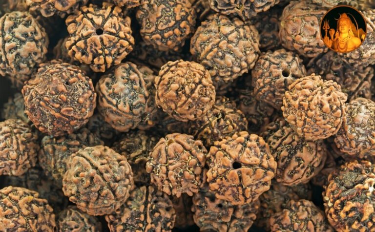 21 Types of Rudraksha and Their Benefits - RudraBliss